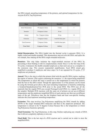 Polymerase Chain Reaction Report | PDF