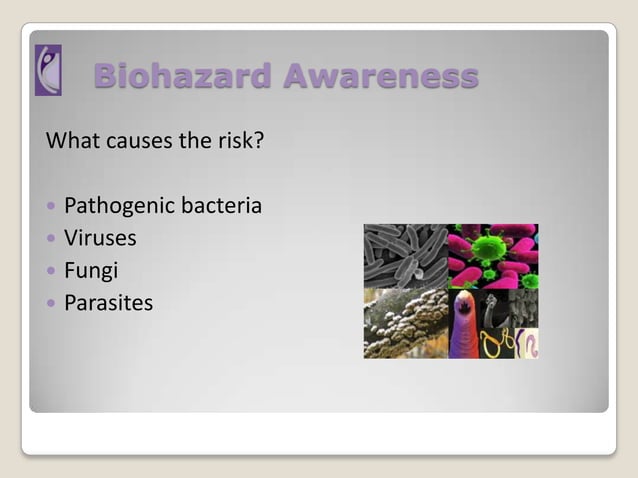 109 Clean & Dispose of Body Fluids & Hazardous Items | PPT