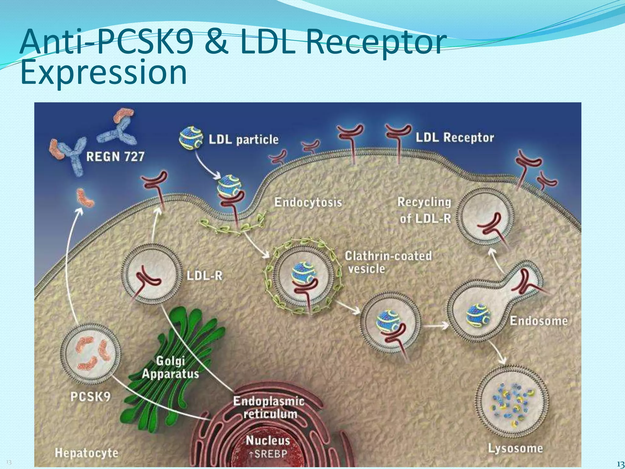 Pcsk 9 inhibitors | PPTX