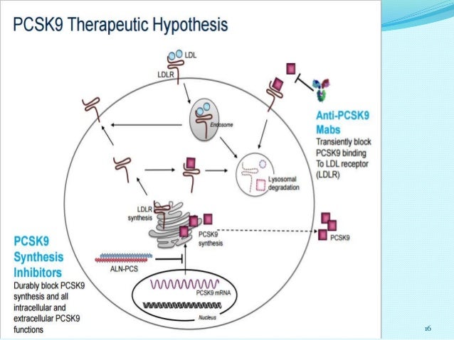 Pcsk 9 inhibitors