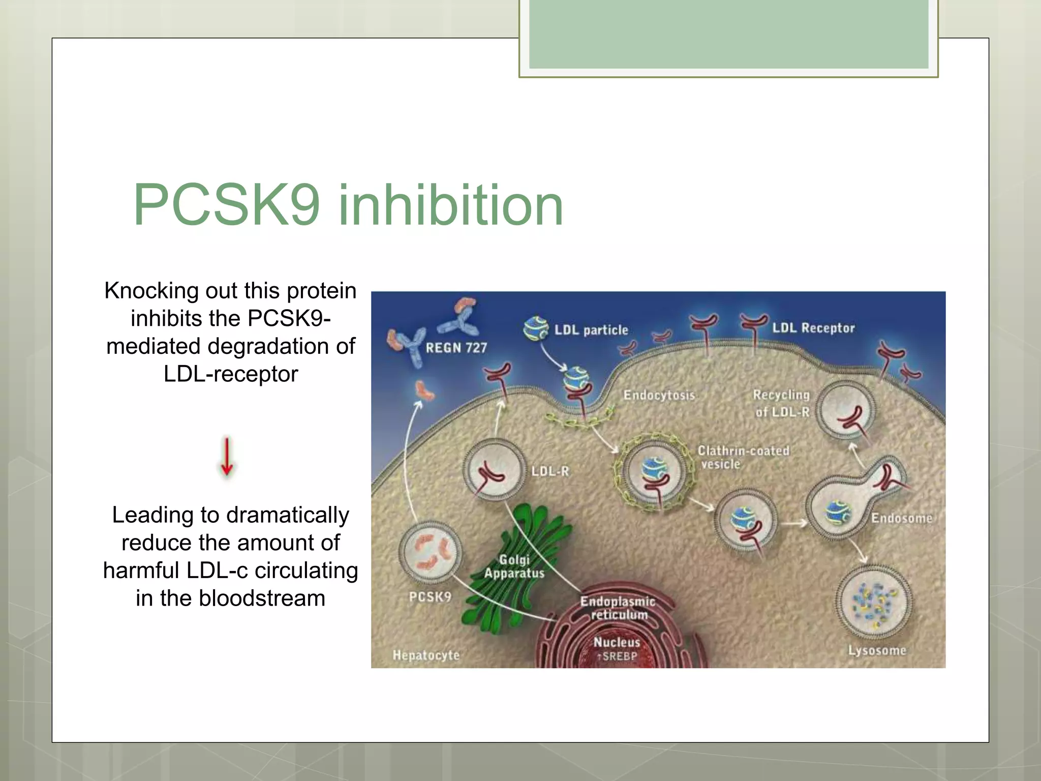 Pcsk9 inhibitors thesis defence | PPTX