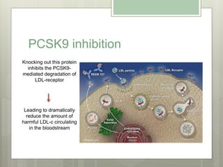 Pcsk9 inhibitors thesis defence | PPTX