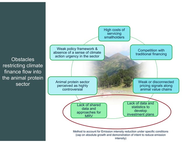 Policies and finance to scale-up Climate-Smart Livestock Systems | PDF