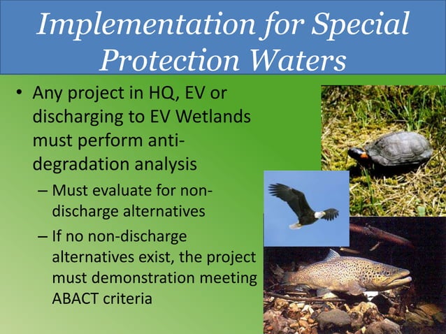 Pcsm requirements copy | PPT