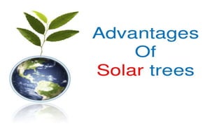Solar Tree PPT | PPTX