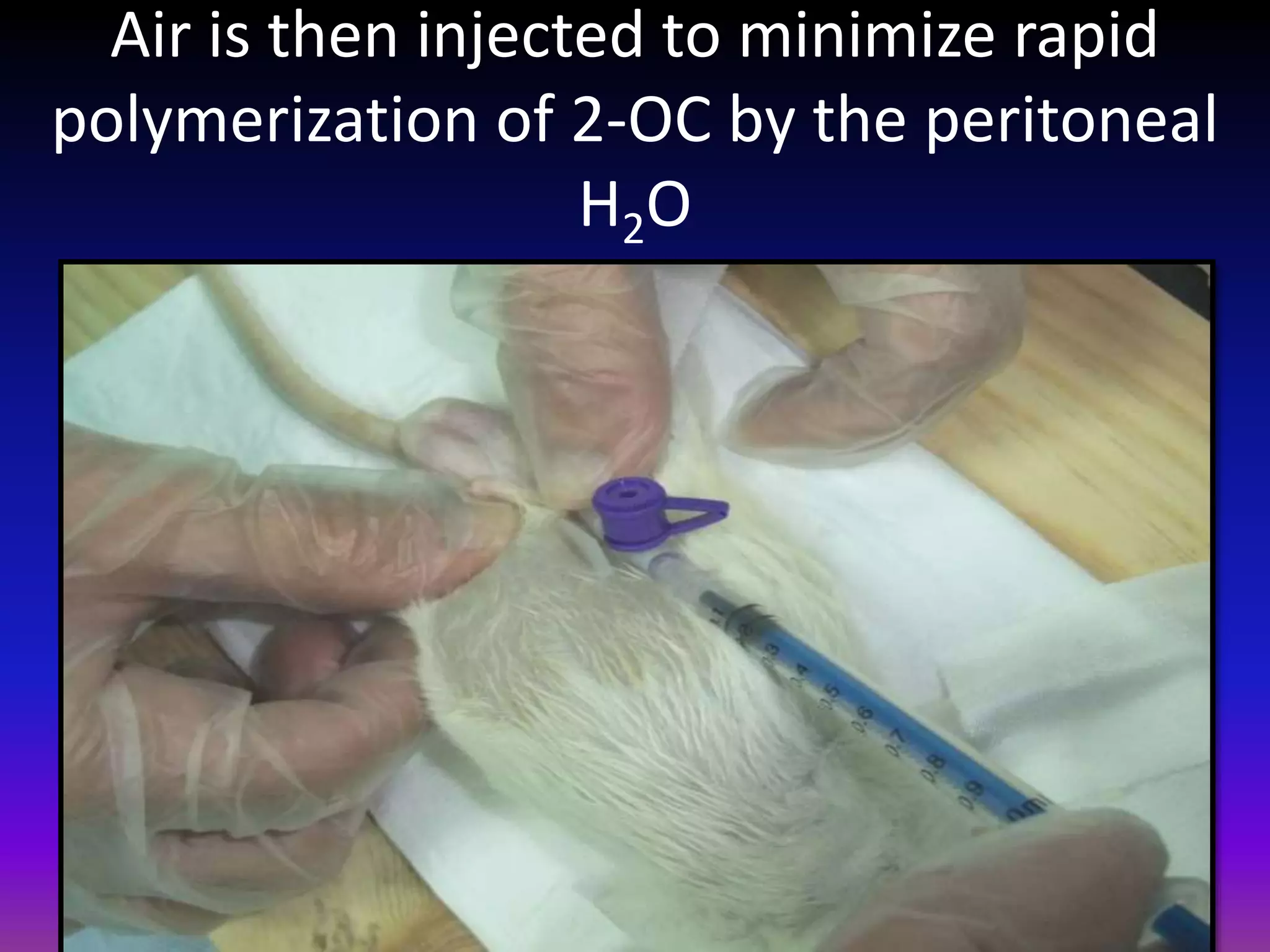 Percutaneous Oblitration ofpatent process vaginalis : a rat model for ...