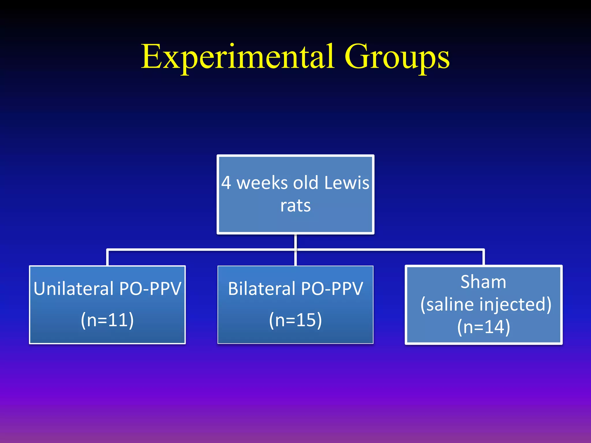 Percutaneous Oblitration ofpatent process vaginalis : a rat model for ...