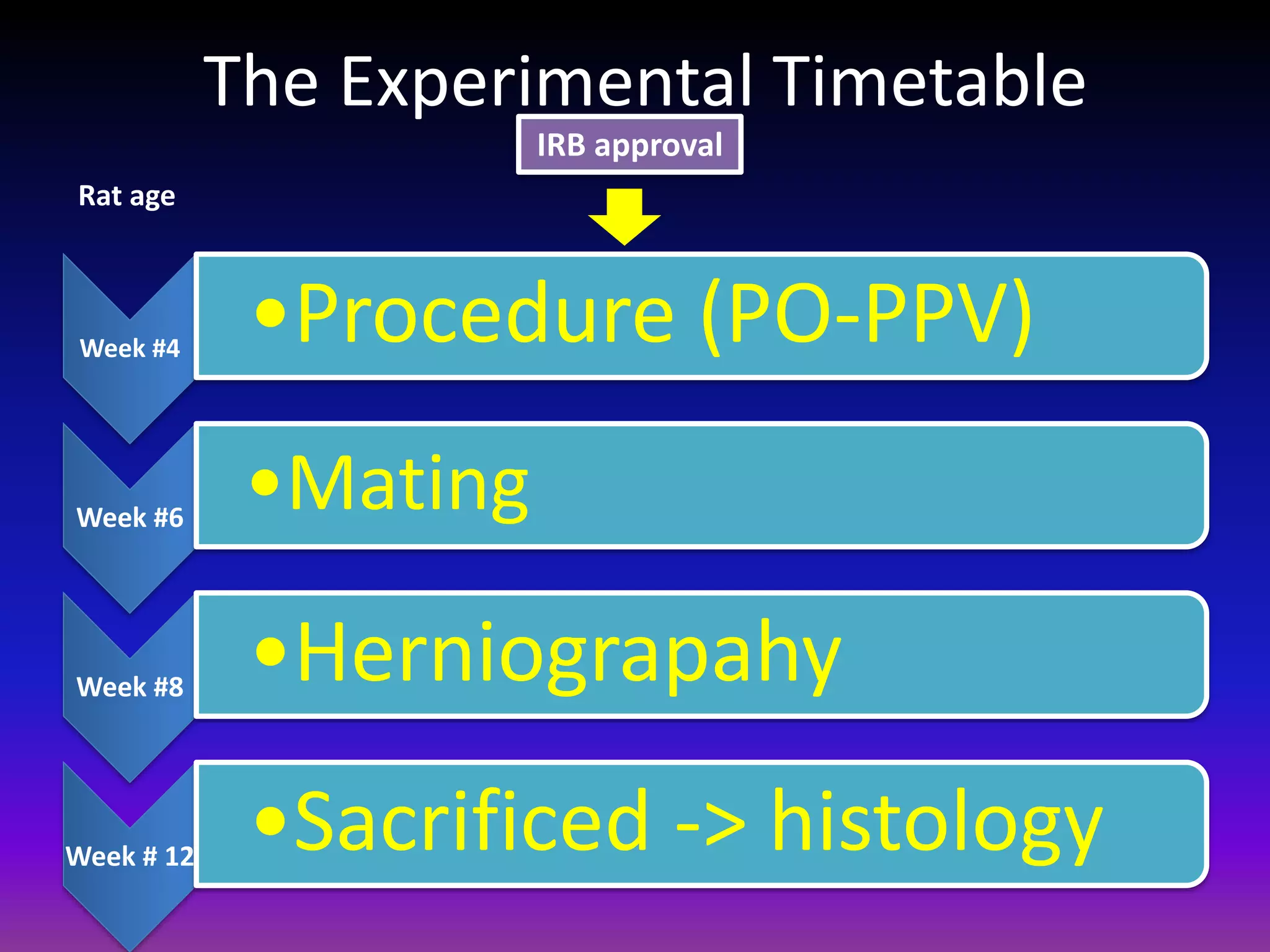 Percutaneous Oblitration ofpatent process vaginalis : a rat model for ...
