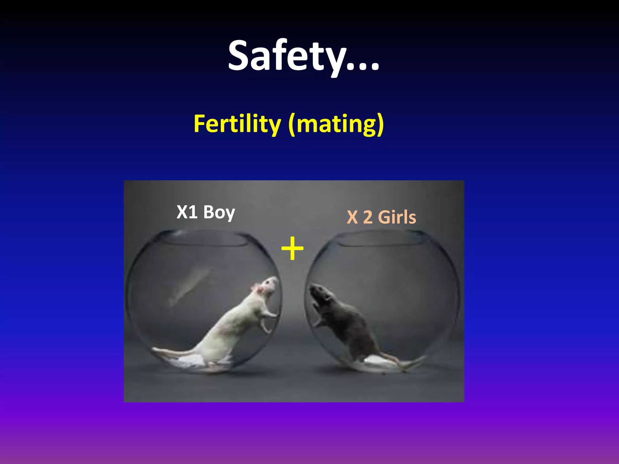 Percutaneous Oblitration ofpatent process vaginalis : a rat model for ...