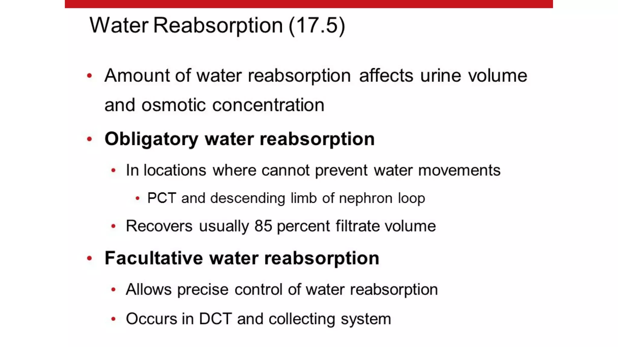 PCT- Renal physiology | PDF