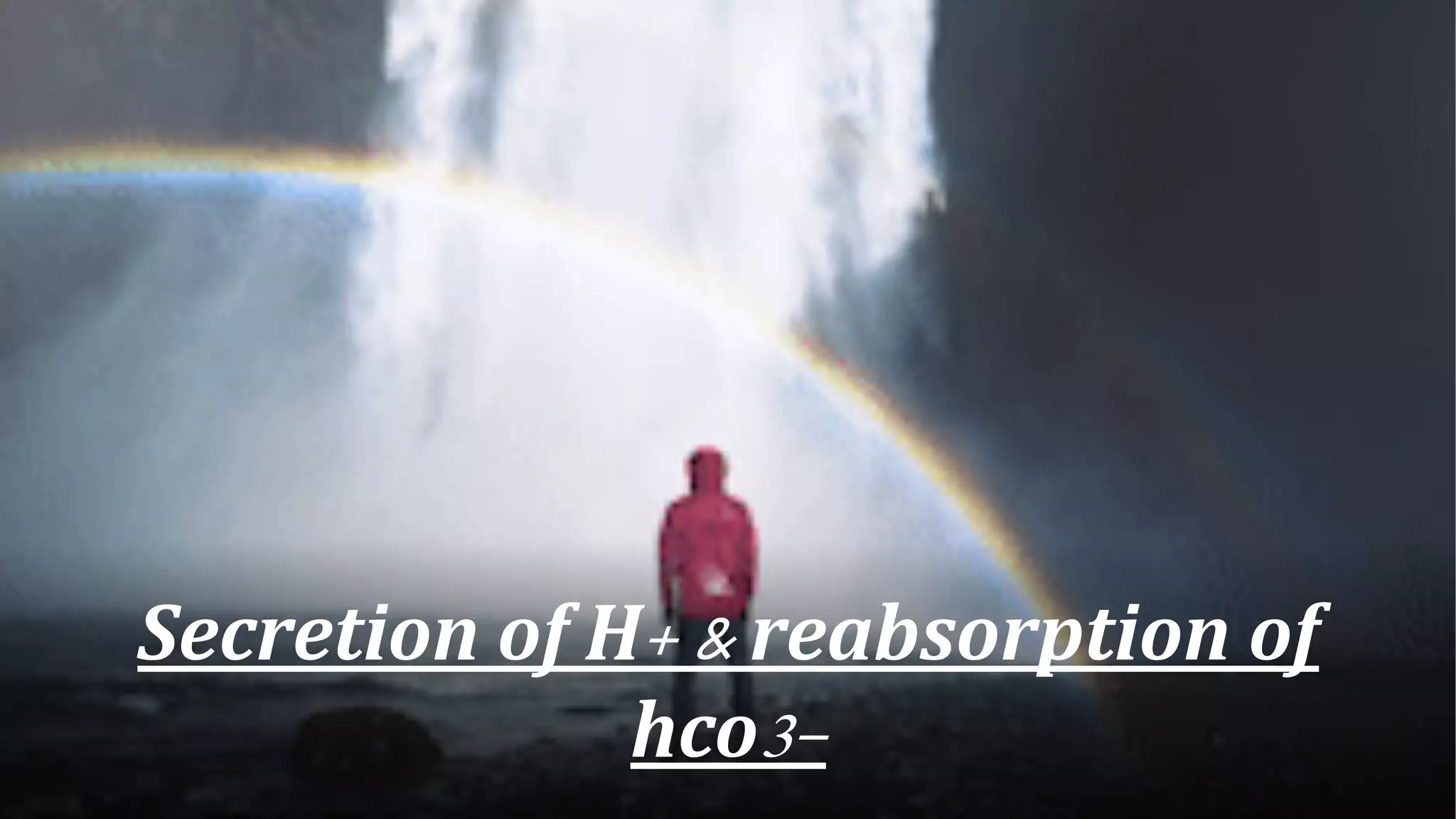 PCT- Renal physiology | PDF