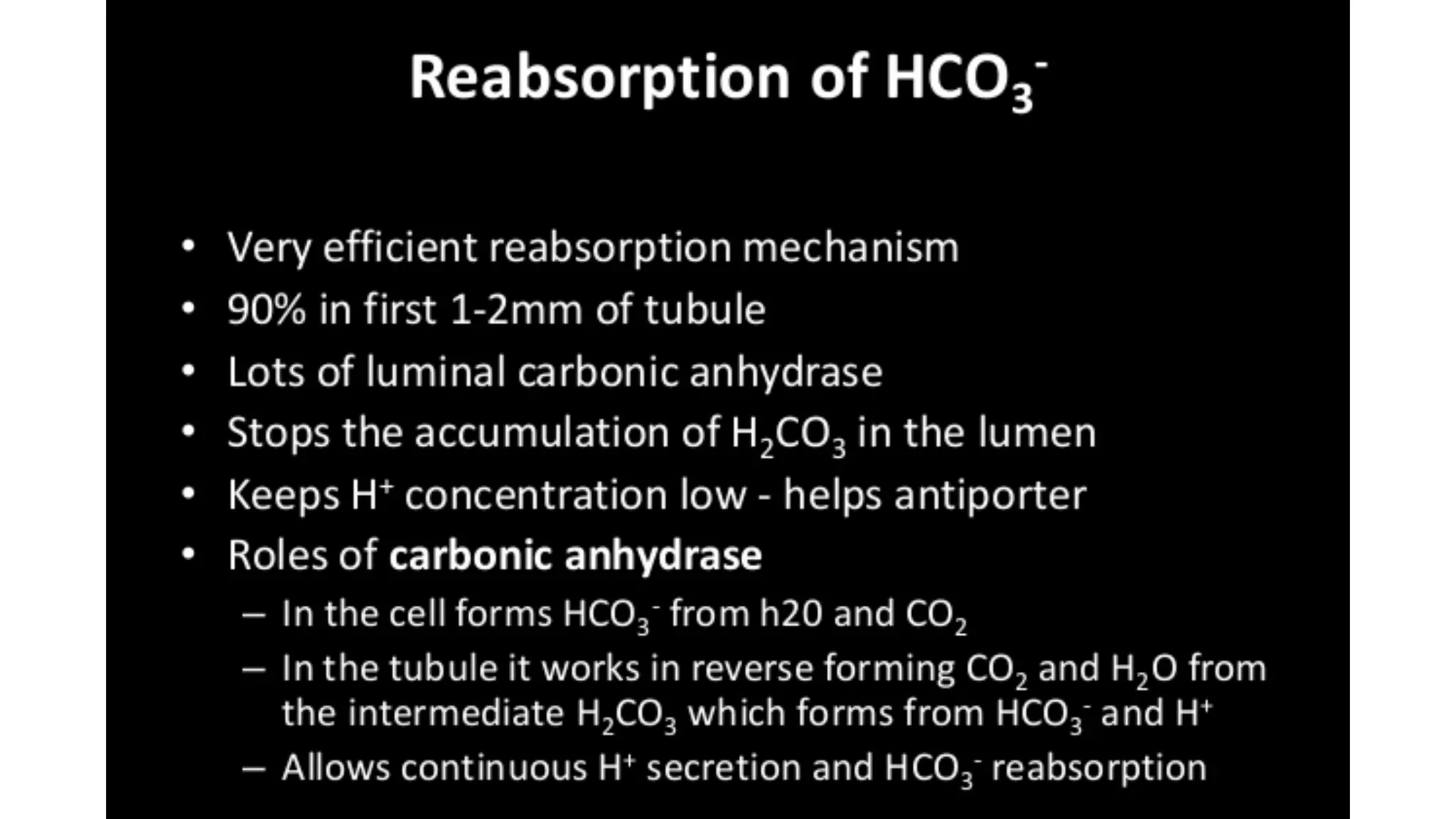 PCT- Renal physiology | PDF