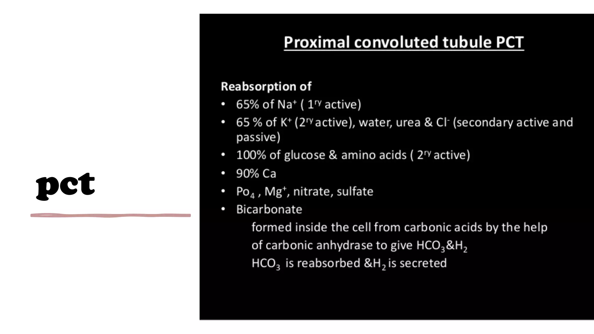 PCT- Renal physiology | PDF