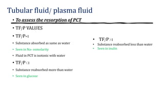 PCT- Renal physiology | PDF
