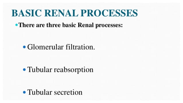 PCT- Renal physiology | PDF | Endocrine and Metabolic Diseases ...