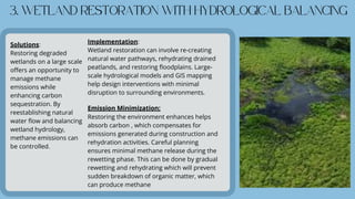 wetlands dilemma canva presentation , chemistry solution | PDF