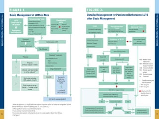 pcu-guidelines-glance.urlogy.urologyyyyy | PPT