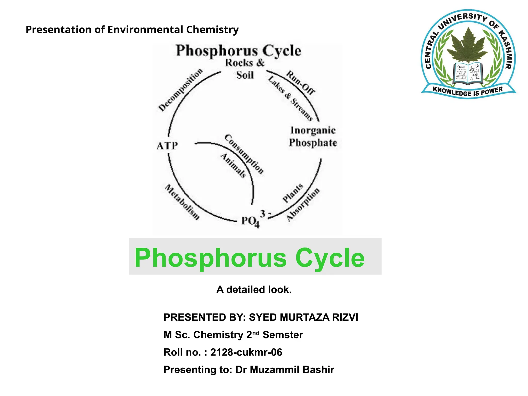 Phosphorus_cycle in Geology, Geography and Environmental Science.pptx