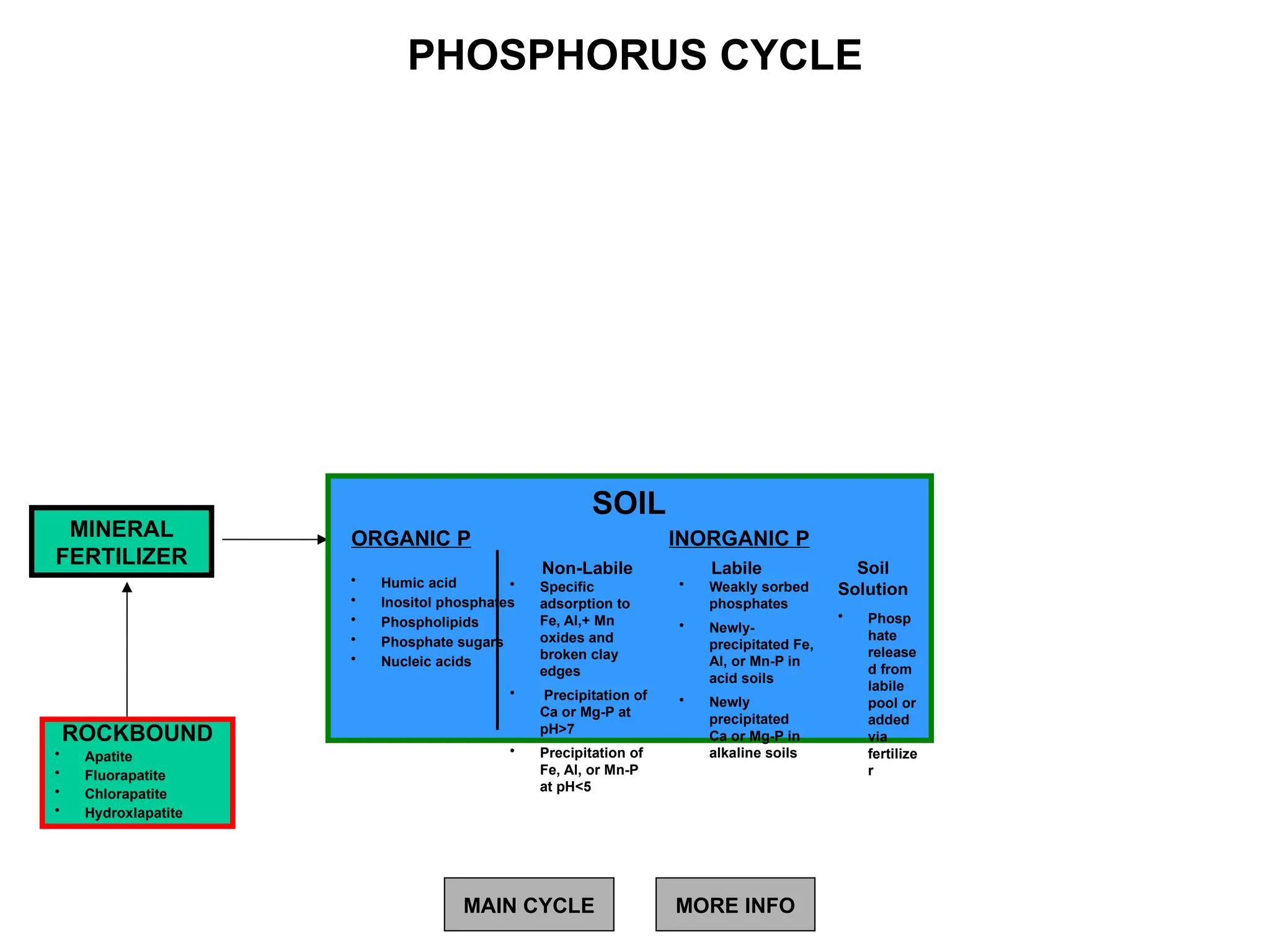 Phosphorus_cycle in Geology, Geography and Environmental Science.pptx