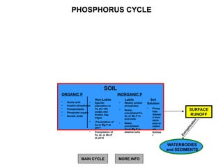 Phosphorus_cycle in Geology, Geography and Environmental Science.pptx