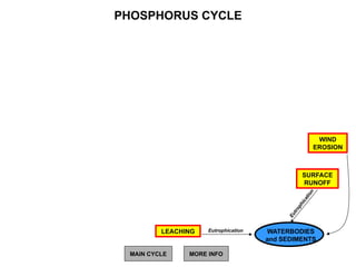 Phosphorus_cycle in Geology, Geography and Environmental Science.pptx