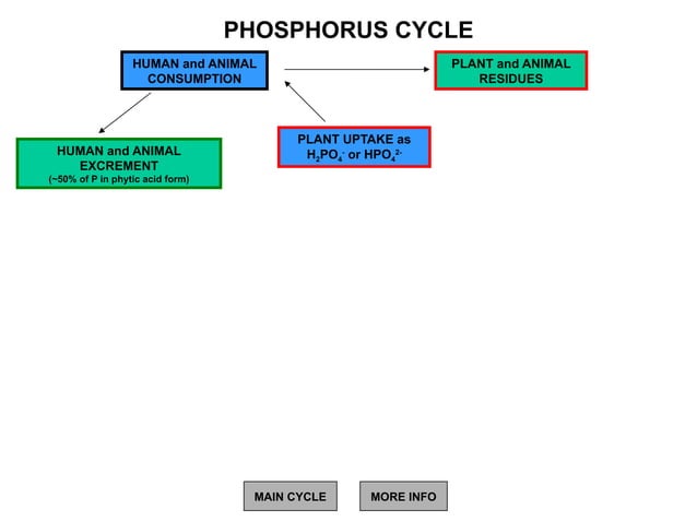 Phosphorus_cycle in Geology, Geography and Environmental Science.pptx