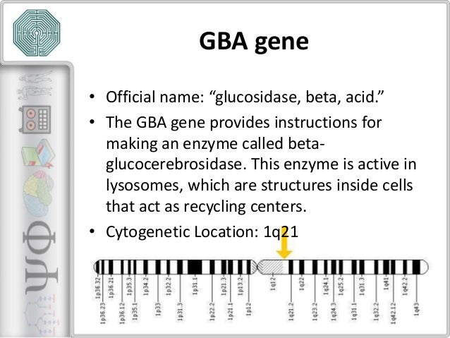 Related Genes in Parkinson's Disease