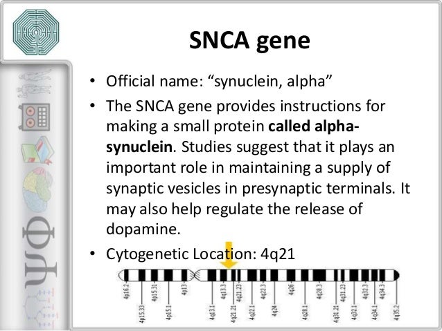Related Genes in Parkinson's Disease