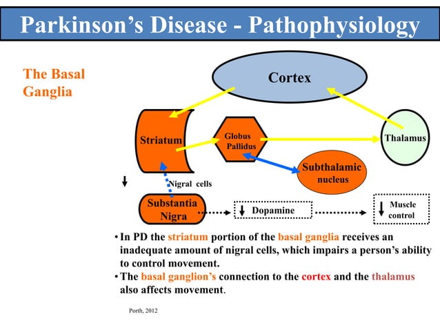 PARKINSON’S DISEASE | PPTX