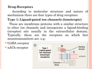 Pharmacodynamics | PPT | Endocrine and Metabolic Diseases | Diseases ...