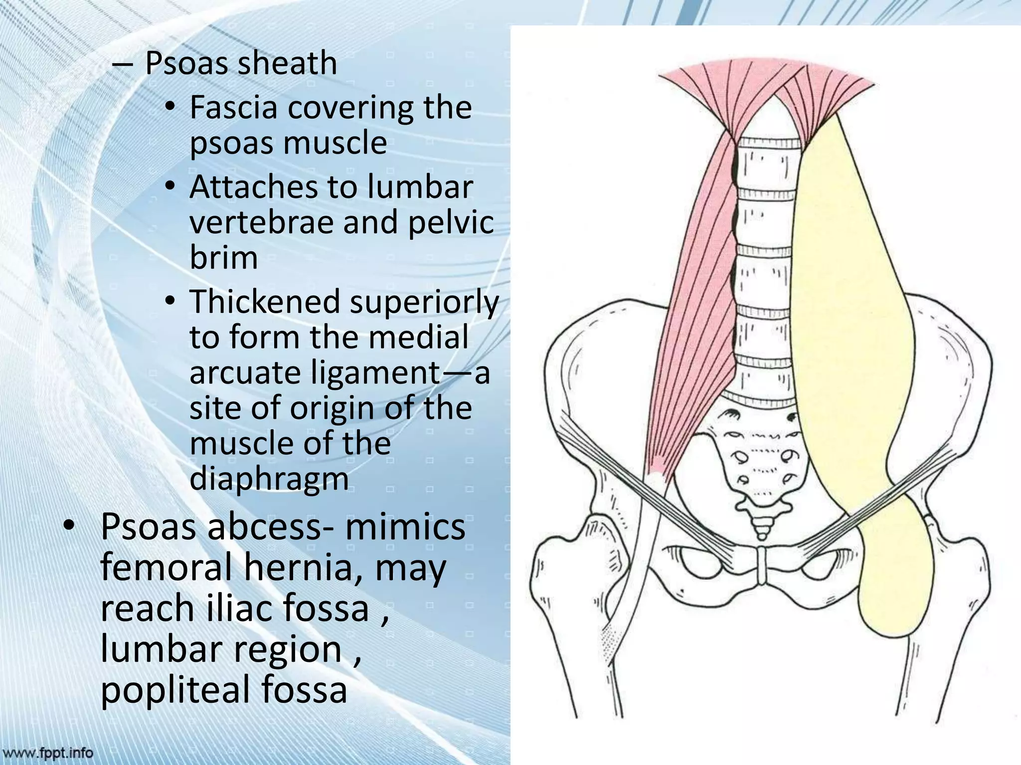 Pott's disease- tuberculosis of the spine | PPTX