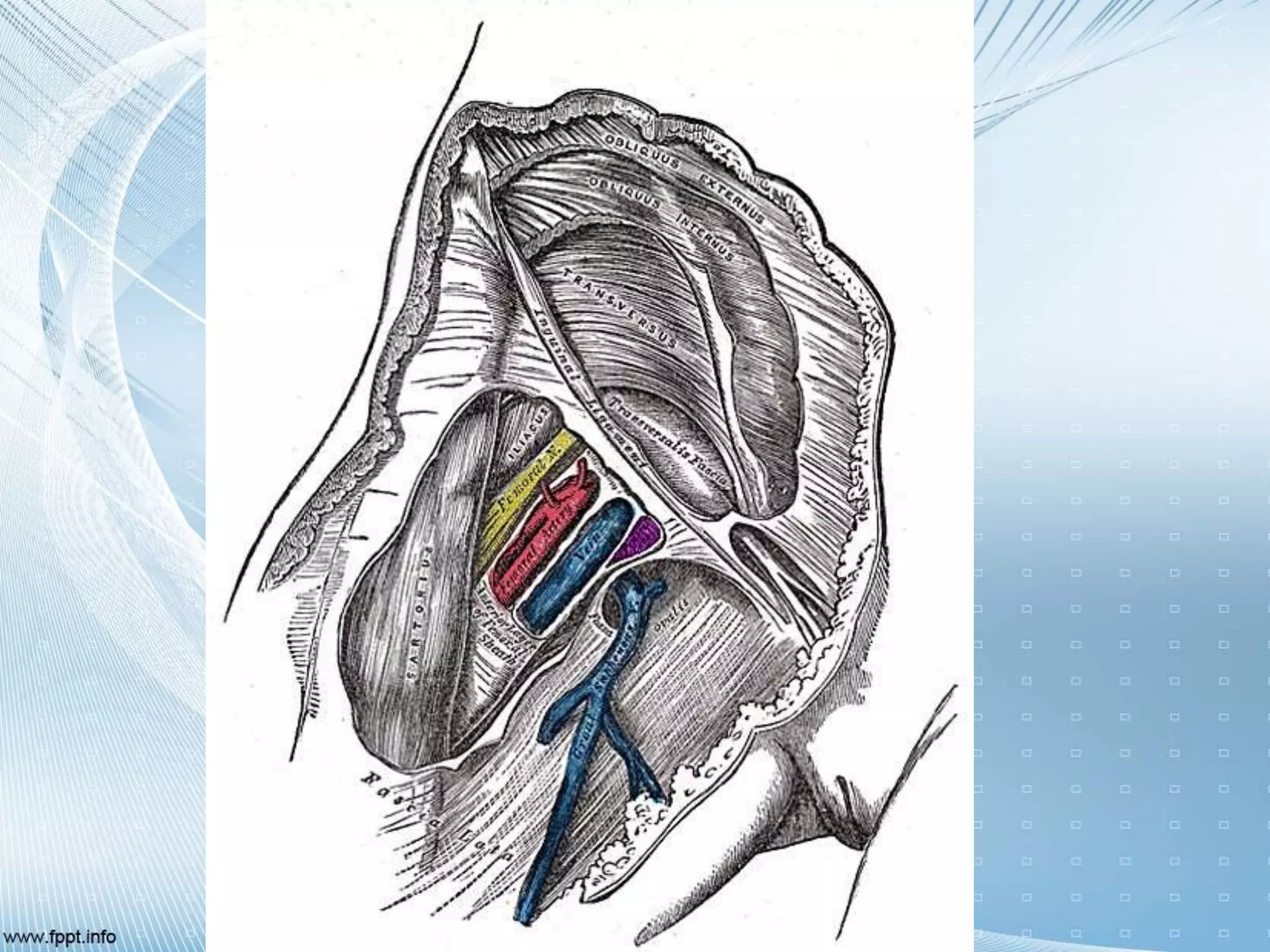 Pott's disease- tuberculosis of the spine | PPTX
