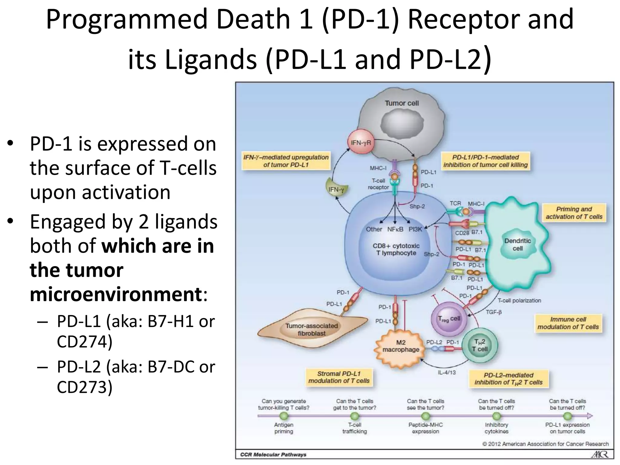 Pd 1 inhibitors (review and role in lymphoma) | PPTX