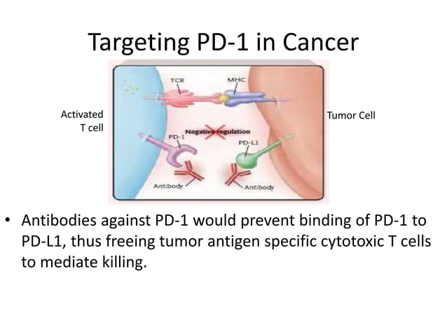 Pd 1 inhibitors (review and role in lymphoma) | PPTX | Cancer ...