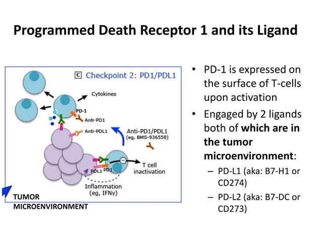 Pd 1 inhibitors (review and role in lymphoma) | PPTX | Cancer ...