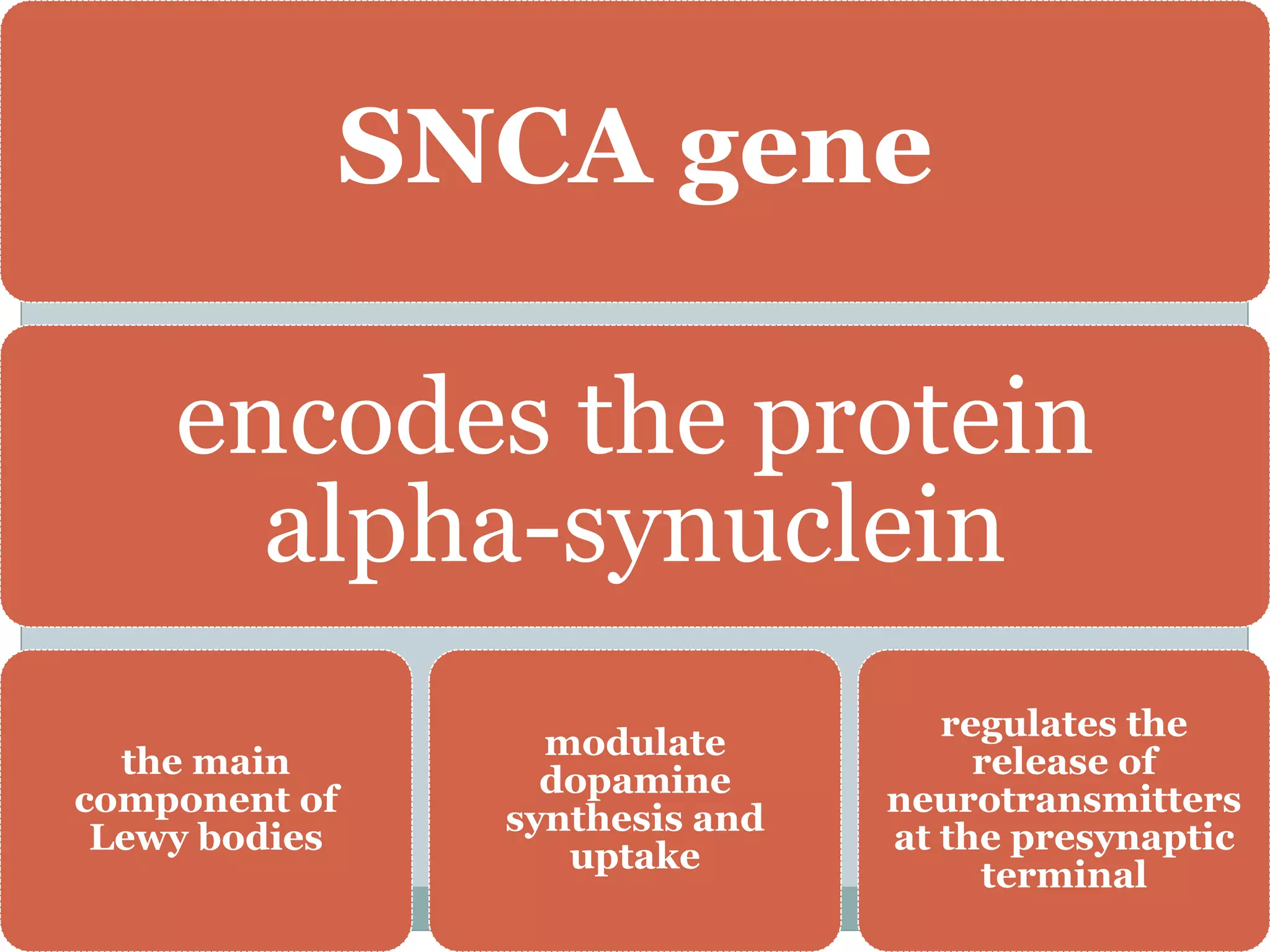 Pathophysiology of Parkinsons Disease | PPTX