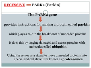 Pathophysiology of Parkinsons Disease | PPTX