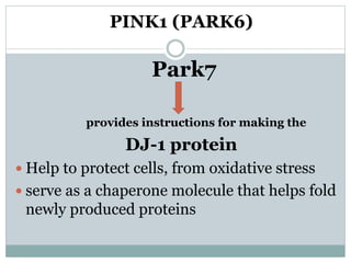 Pathophysiology of Parkinsons Disease | PPTX