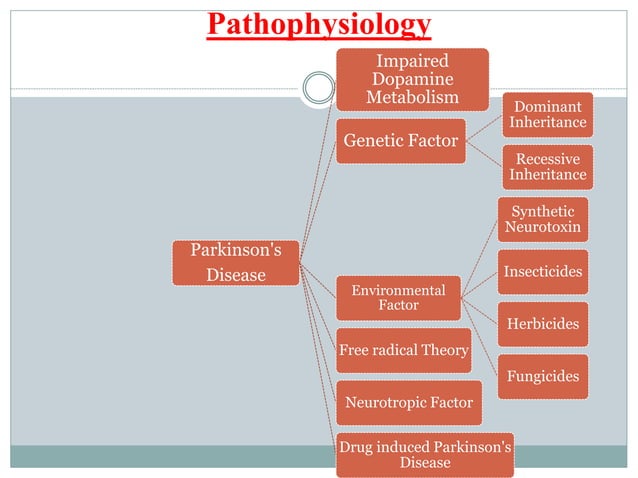 Pathophysiology of Parkinsons Disease