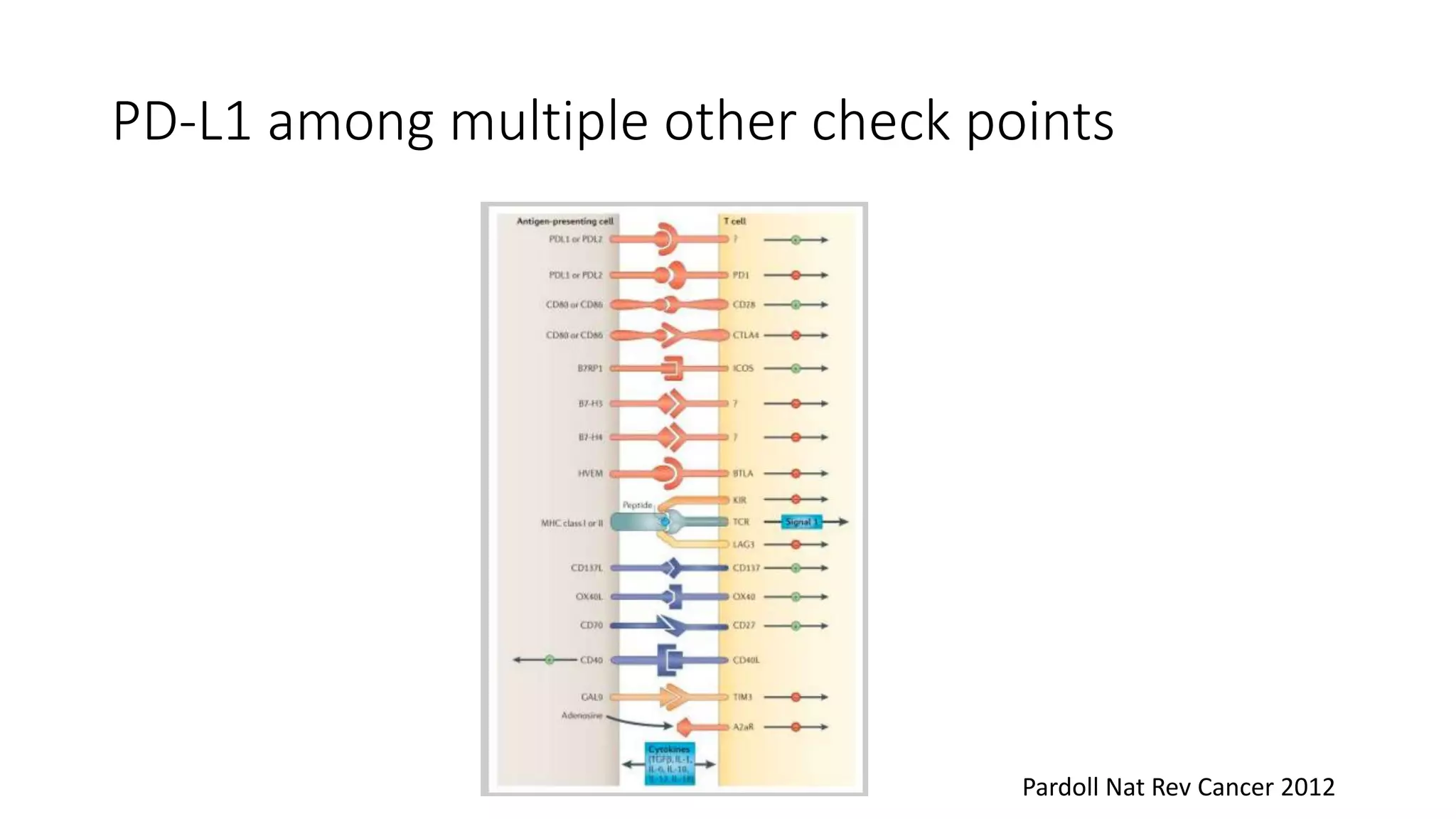 PD-L1 testing | PPTX