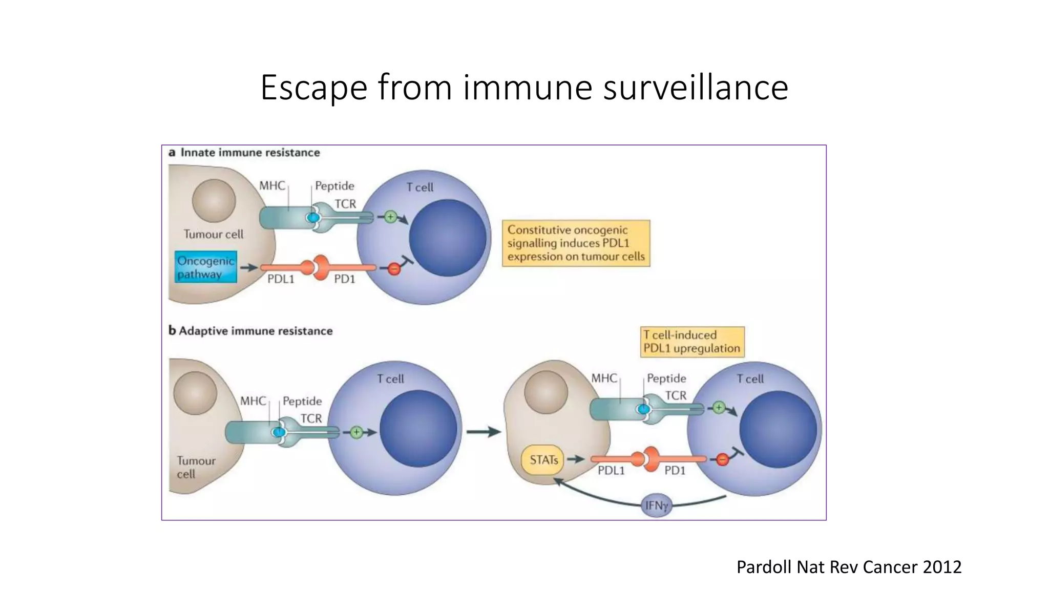 PD-L1 testing | PPTX