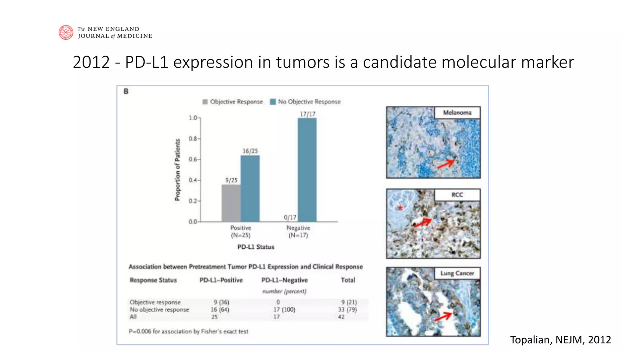Pd L1 Testing Pptx