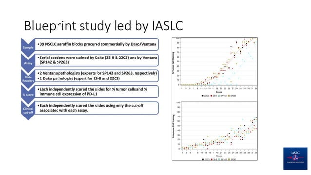 PD-L1 testing | PPTX | Cancer | Diseases and Conditions