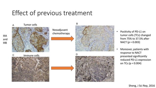 PD-L1 testing | PPTX | Cancer | Diseases and Conditions