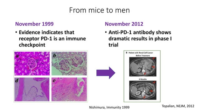 PD-L1 testing | PPTX | Cancer | Diseases and Conditions