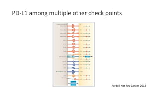 PD-L1 testing | PPTX