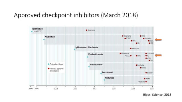 PD-L1 testing | PPTX | Cancer | Diseases and Conditions