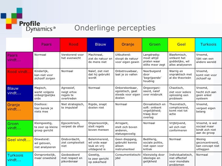 Profile Dynamics Info