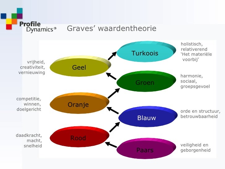 Profile Dynamics Info