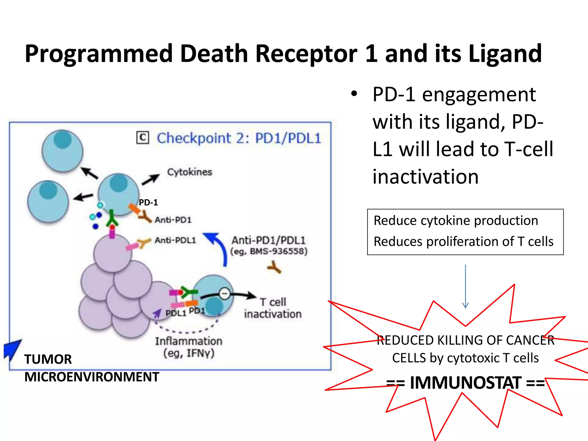 PD1PDL1 Pathway and its inhibitors for slideshare.pptx
